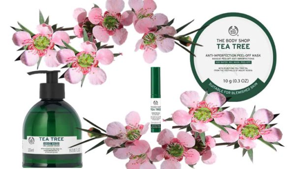 The Body Shop Tea Tree Range 茶树系列产品点评